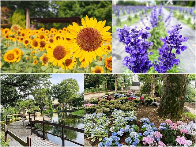 【山梨】Hot！Summer♪ 絶景露天風呂『ほったらかし温泉』と旬のフルーツ『もも狩り』園内食べ放題！ | 新宿駅発山梨バスツアー・日帰り ...